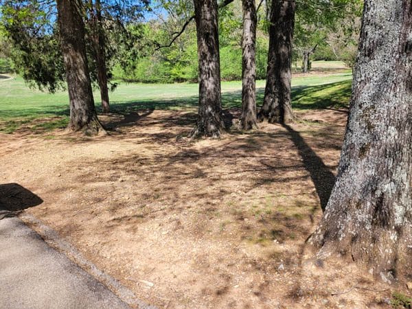 Joe Wheeler ‘General’ could be way better - Alabama Golf News